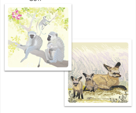 Cards | 2 Pack | Monkey and Bat Eared Fox